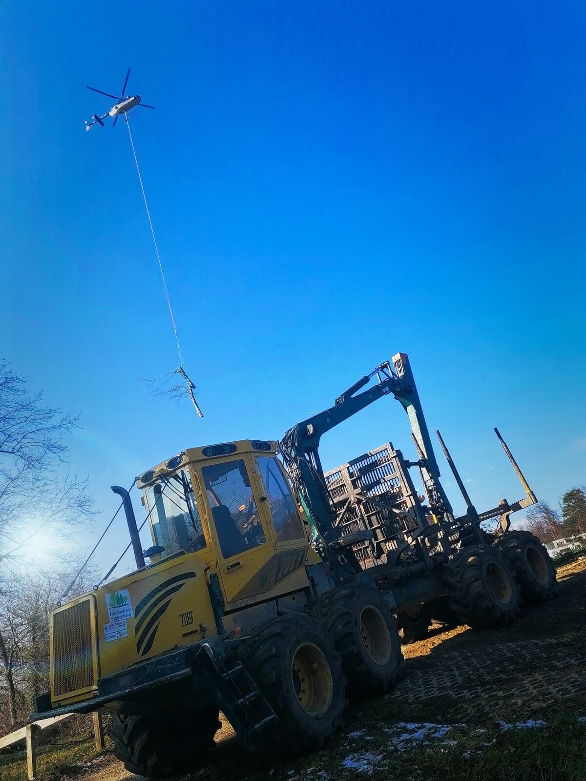 Holztransport (Logging) | CHS Central Helicopter Services AG